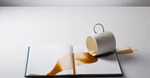 What is the Spillover Effect in Marketing? with Examples